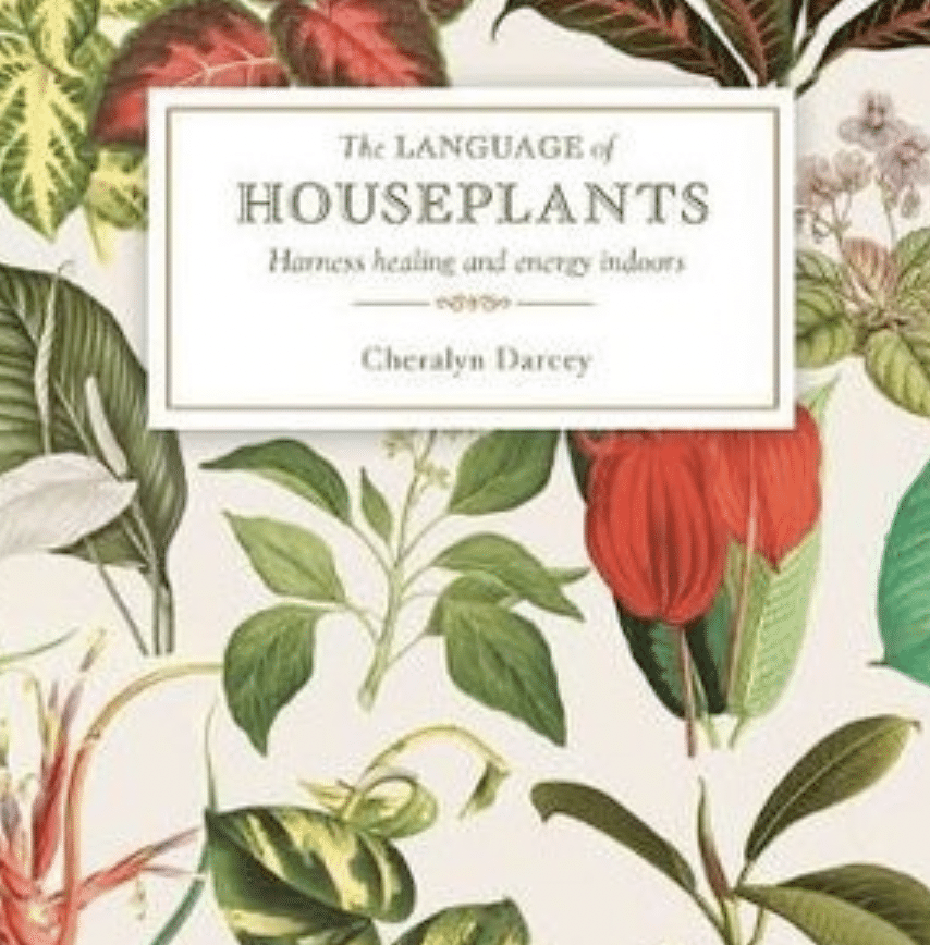 The Language Of Houseplants - Gather & Place