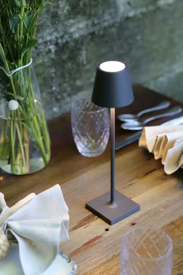 Poldina Pro Micro Portable Lamp - Gather & Place